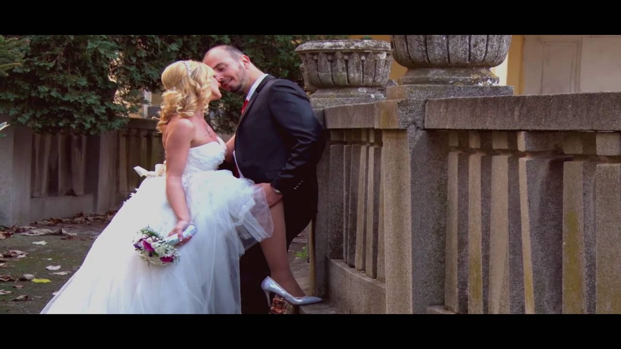 Zoran Jakovljevic Loznica on Vimeo