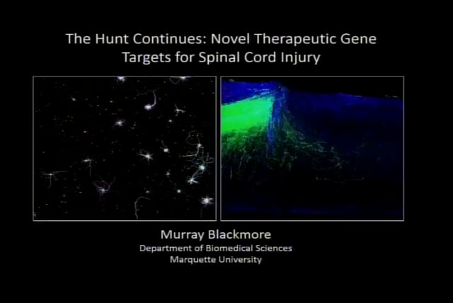 "The Hunt Continues: Novel Therapeutic Gene Targets for Spinal Cord ...