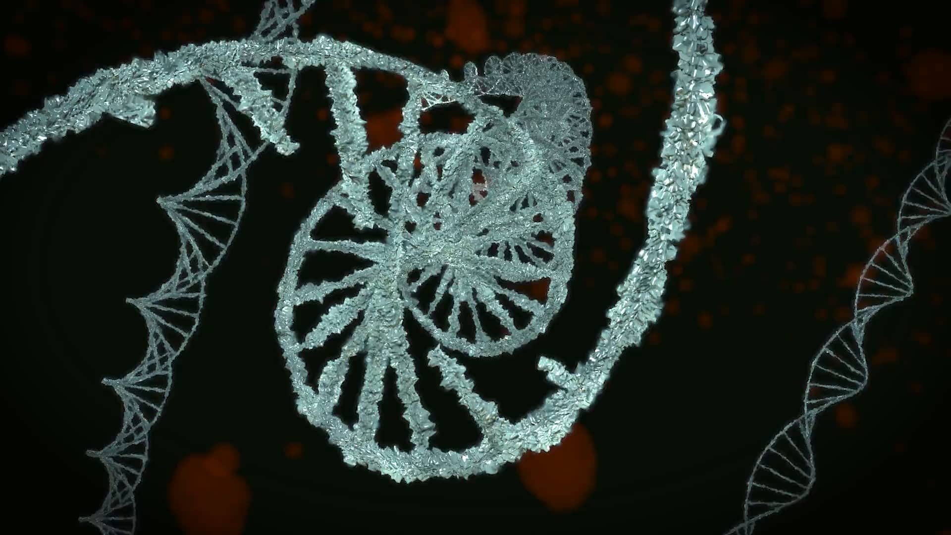Houdini - Growing DNA (scene file) on Vimeo