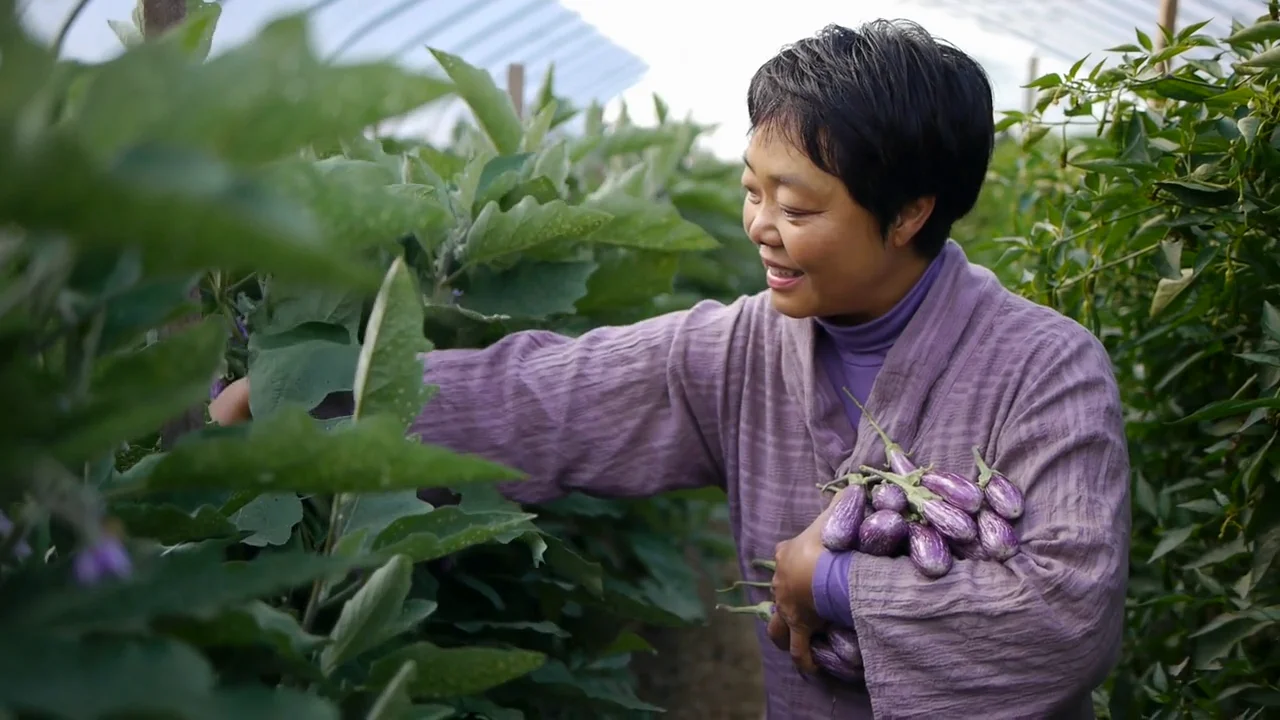 The Secret Is in the Suffering: Bodhi Tree Farm on Vimeo