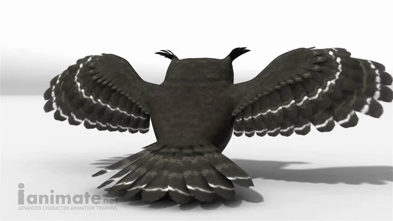 iAnimate flying creature rig - Owl on Vimeo