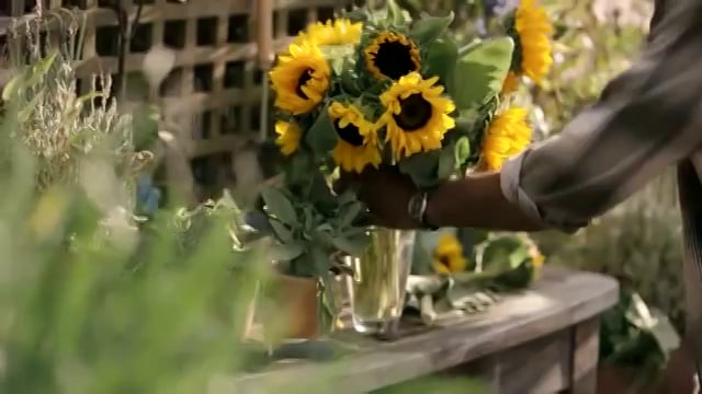 Humana "Partners in Health" - Directed by Peyton Wilson on Vimeo