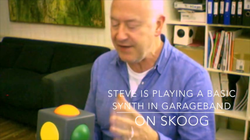 Skoog Jams: Steve's lionbabe skoog out. on Vimeo