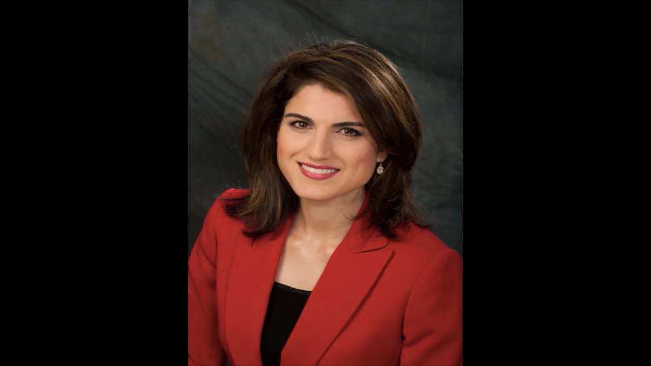 Lily Jamali - Lily Jamali - Montage on Vimeo