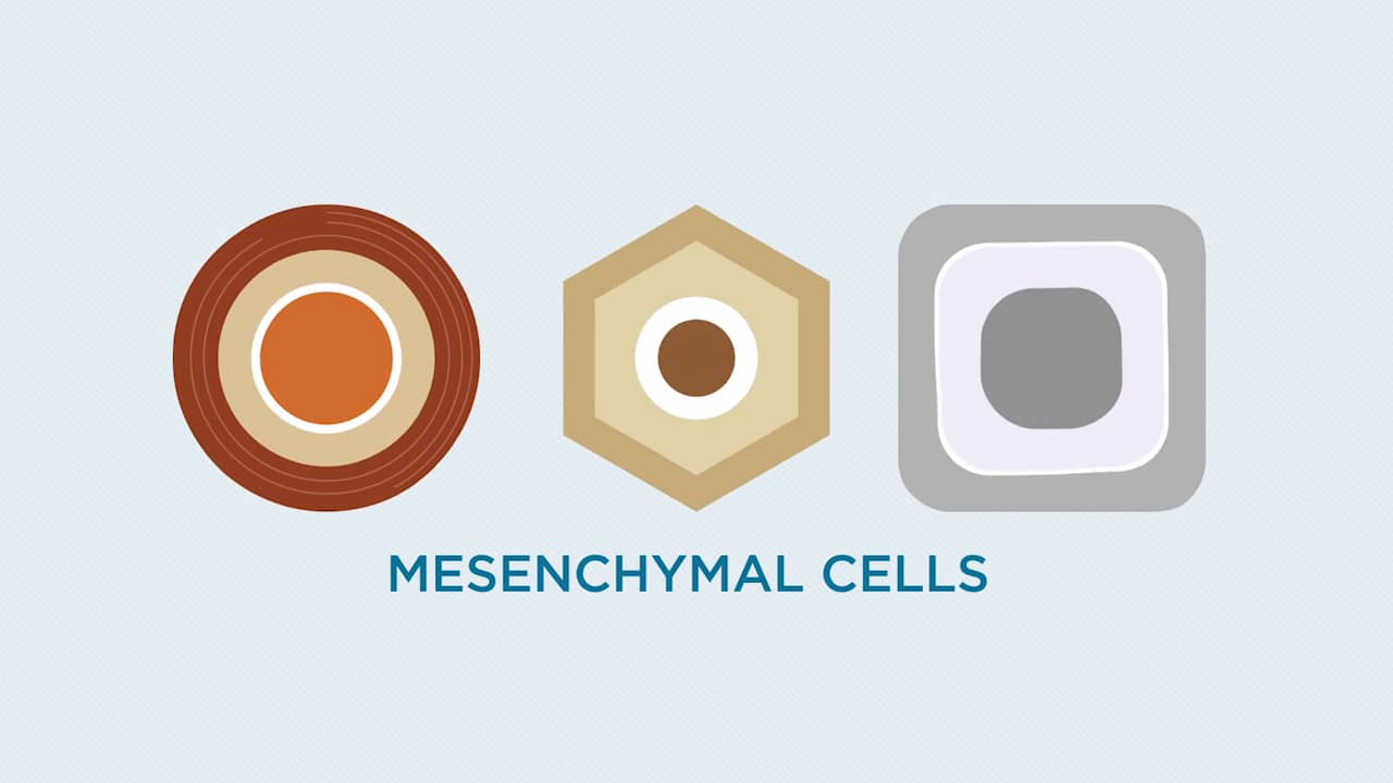 Stem Cell Banking with Celltex: How It Works on Vimeo