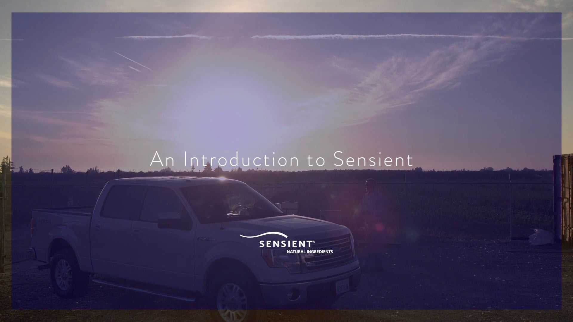 An Introduction to Sensient Natural Ingredients on Vimeo
