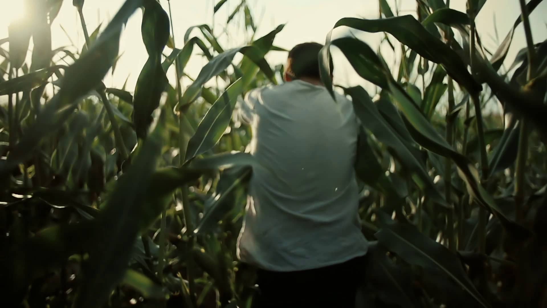 THE EVENT - CINEMA TRAILER 2'13'' on Vimeo