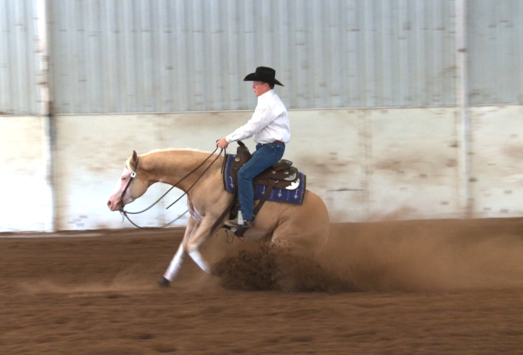 NRHA Futurity Propsect Sale Lot #2013 Crystalized Gunner - Gunner x ...
