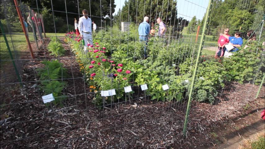 University of Minnesota Extension Master Gardener Biochar Research ...