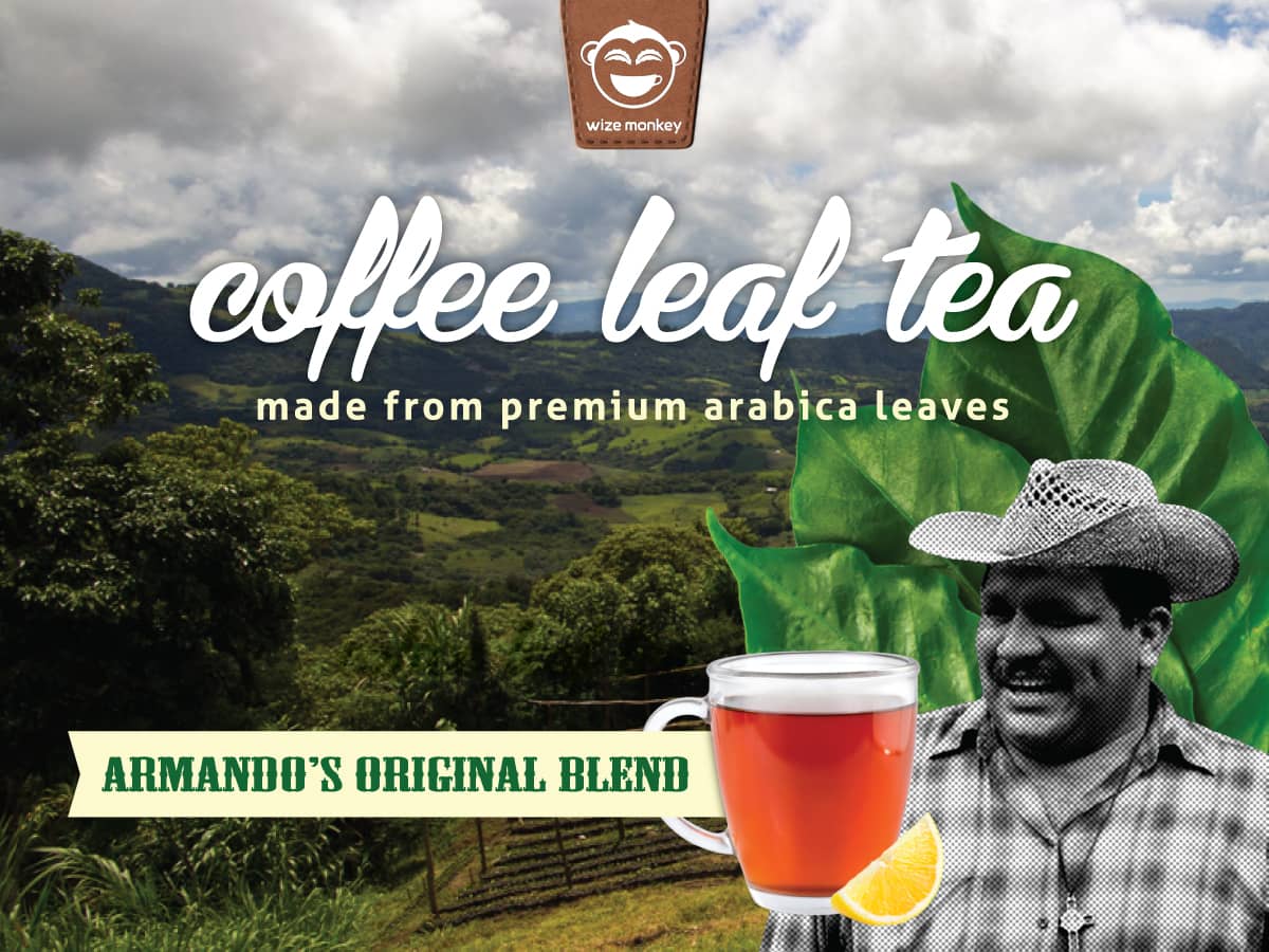 Wize Monkey Coffee Leaf Tea Kickstarter on Vimeo
