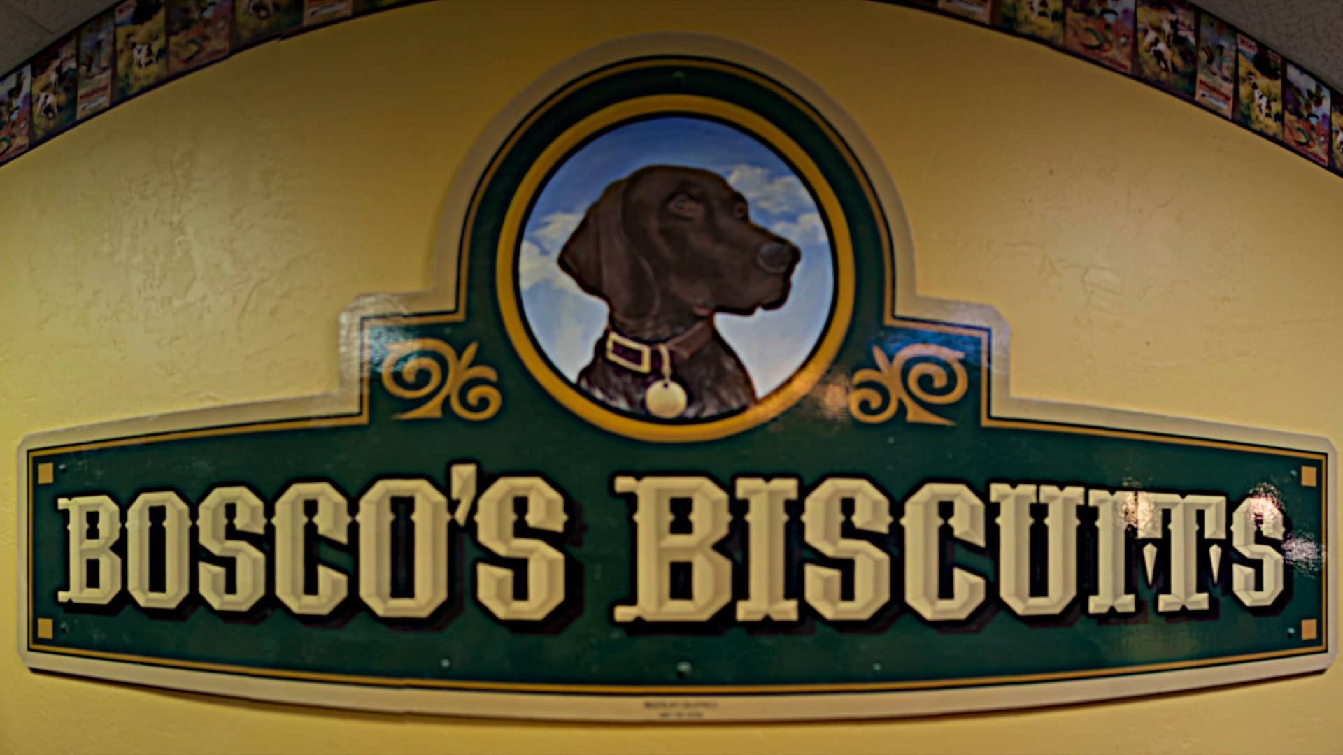 BOSCO'S BISCUITS on Vimeo