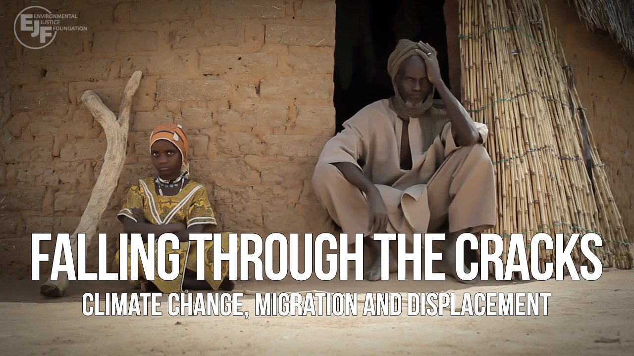 FALLING THROUGH THE CRACKS