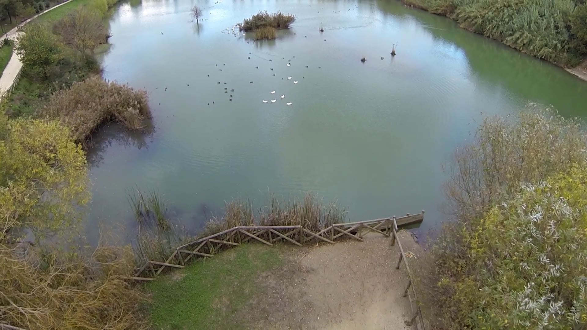 Parco Giovanni Paolo II (parco della cava) - Rimini on Vimeo