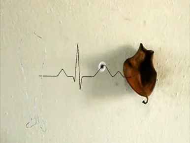 Piro piro se cura y se vuelve Santo - Frank Bready Trejo on Vimeo