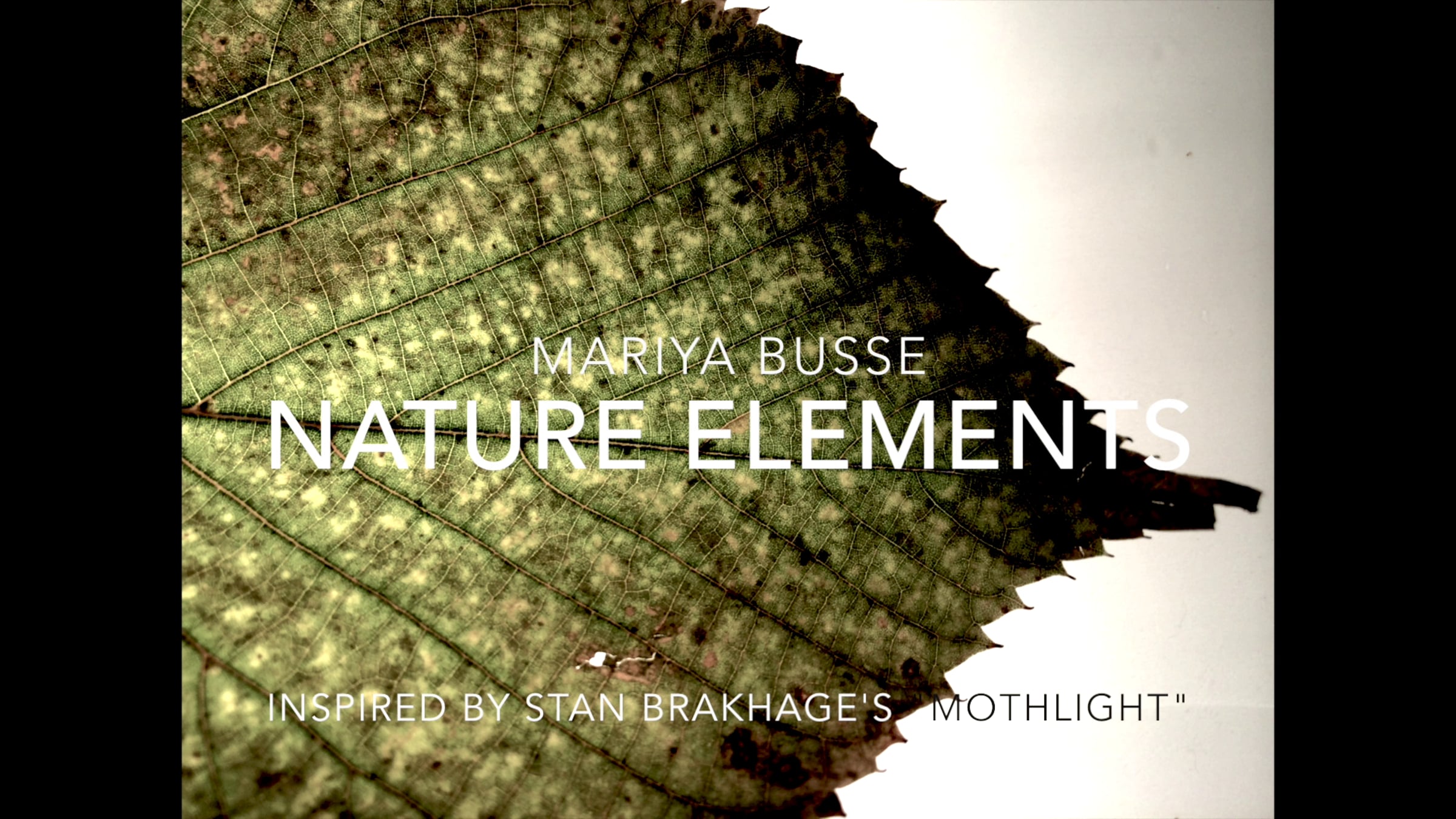 Nature Elements