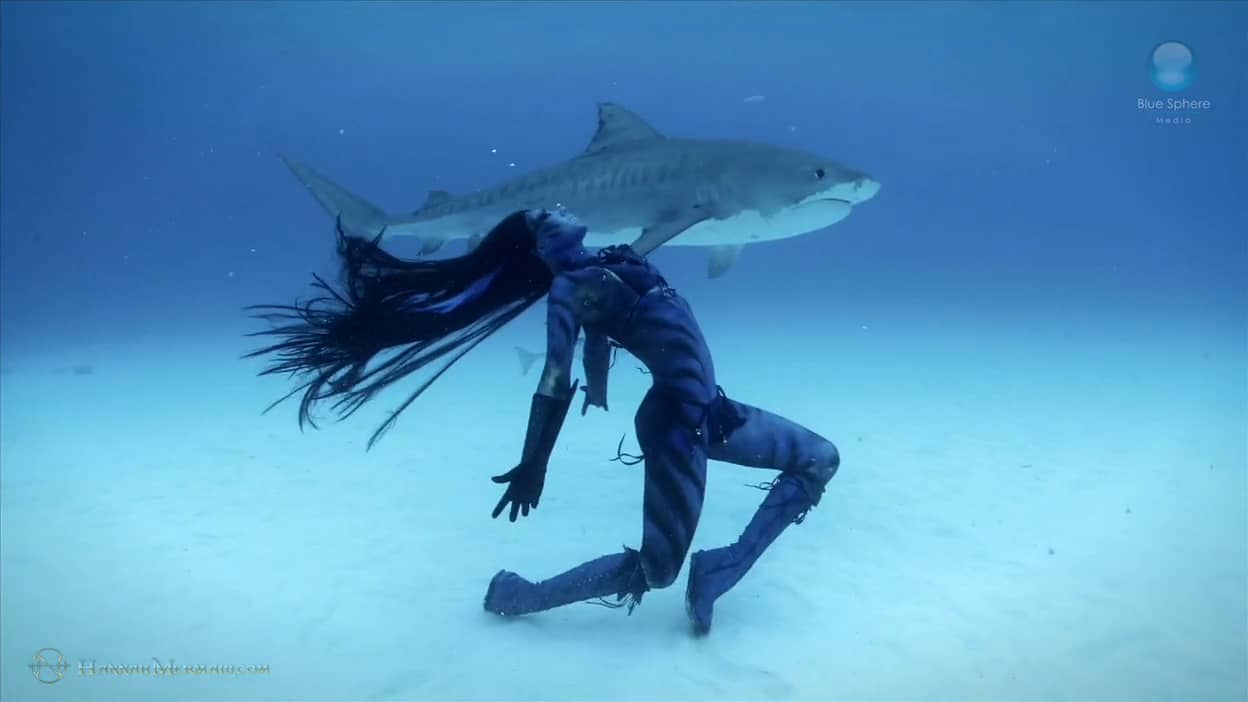 Real Life Mermaid & Underwater Performance Artist - Hannah Fraser ...