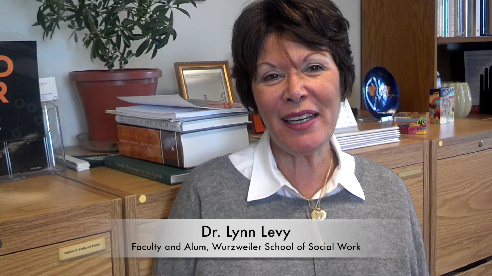 An Invitiation to Alumni from Dr. Lynn Levy - NYC on Vimeo