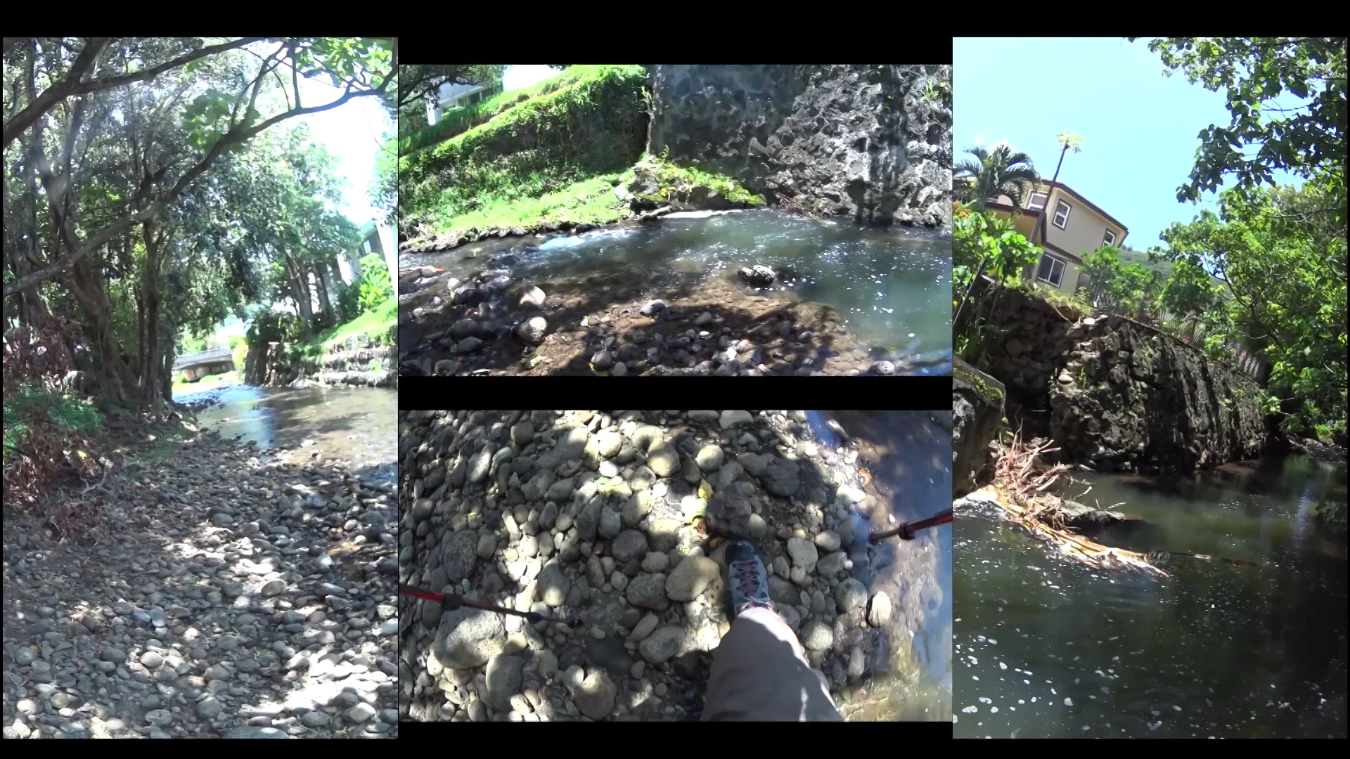 High Definition Stream Survey - Manoa Stream Clip