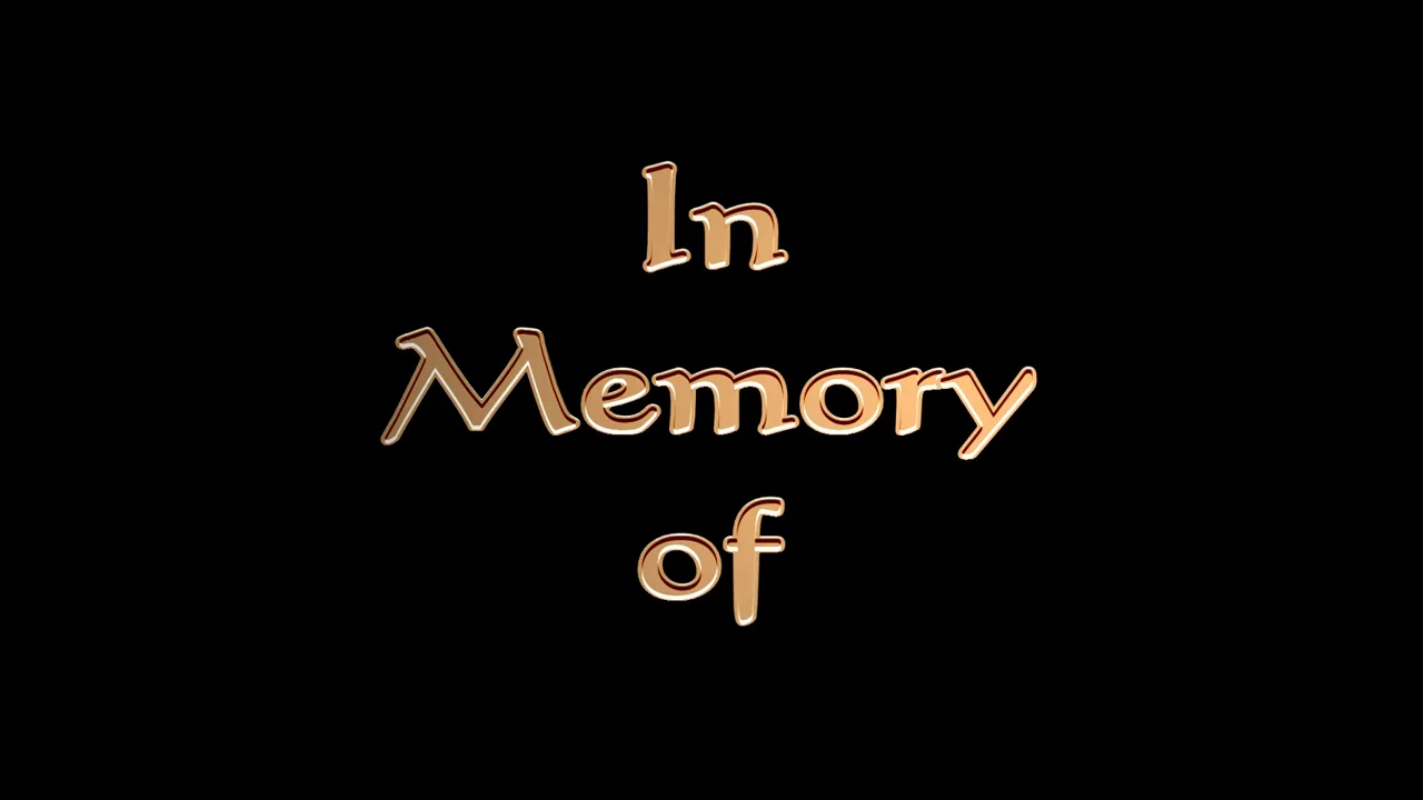 MCA In Memory 2014 on Vimeo