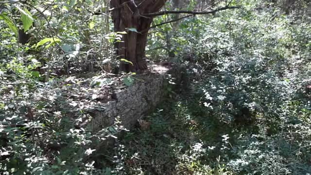 Eye On Luminant: New Texas Historical Marker Identifies Kiln Site at ...