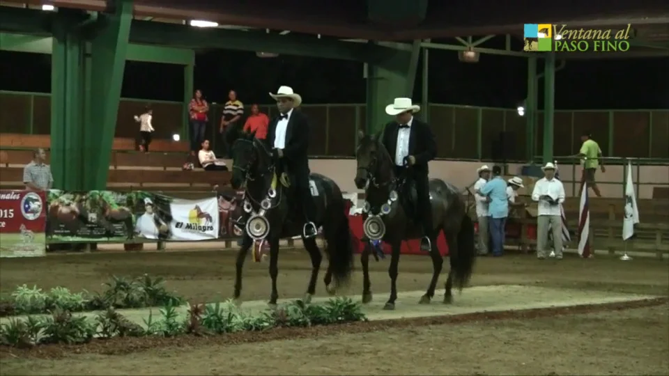 Campeonato de Yeguas- Campeonatos Nacionales Elpidio Nuñez, Los ...