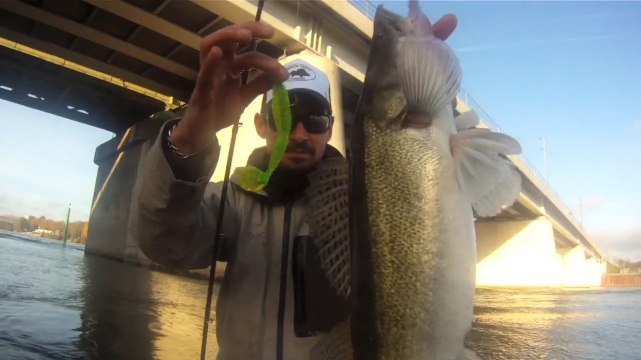 ZANDER vs Reins Fat Bubbling Shad on Vimeo