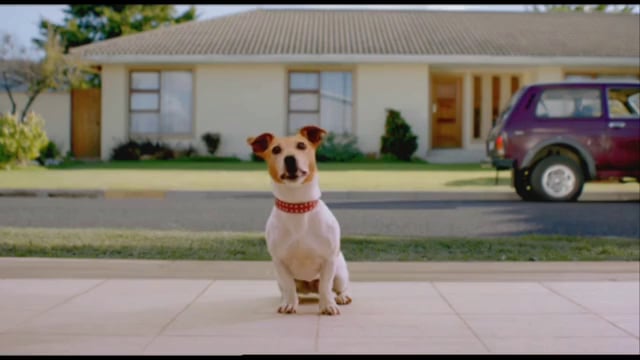 Cappy "Dog"