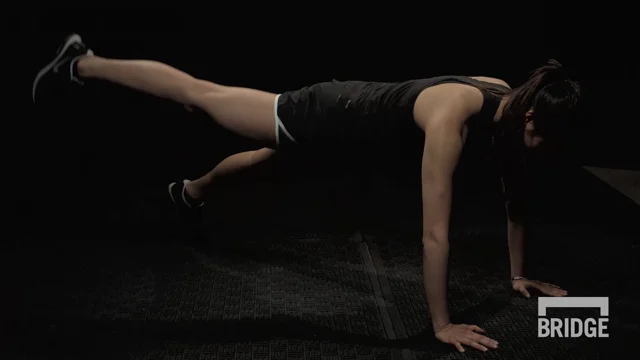 Pyramidalis Muscle Workout