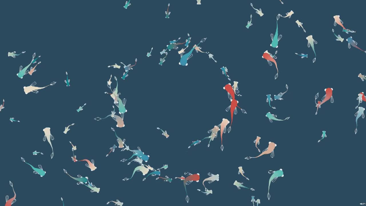 Dancing Fish on Vimeo