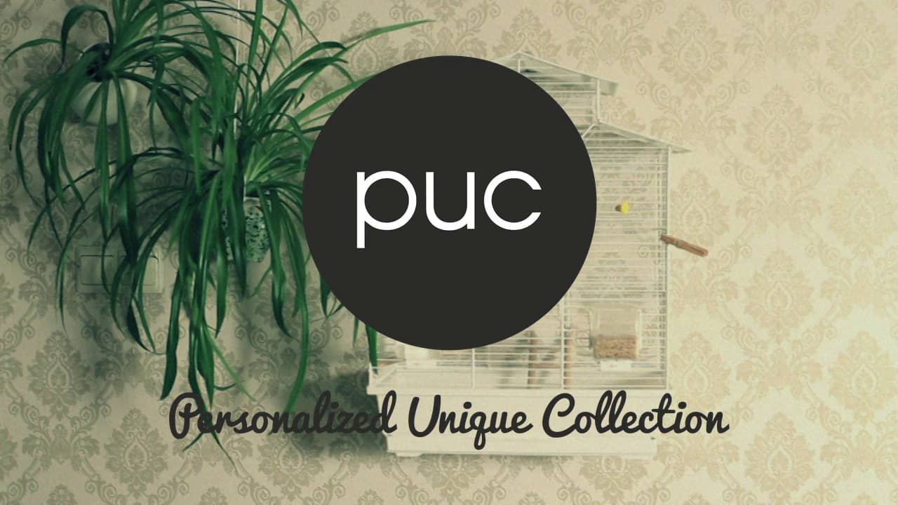 PUC BAG (Personalized Unique Collection) on Vimeo