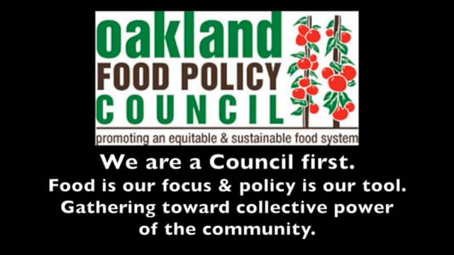 OFPC 5 years on Vimeo