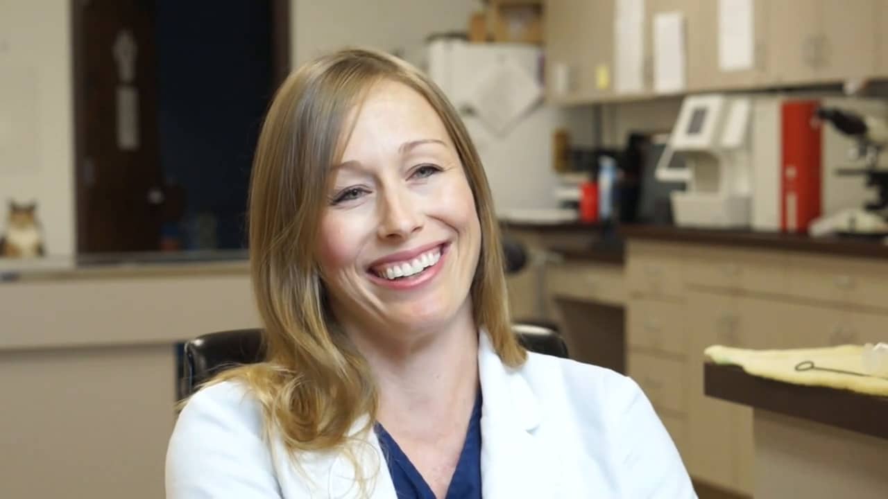 Dr. Elizabeth Wood on Vimeo