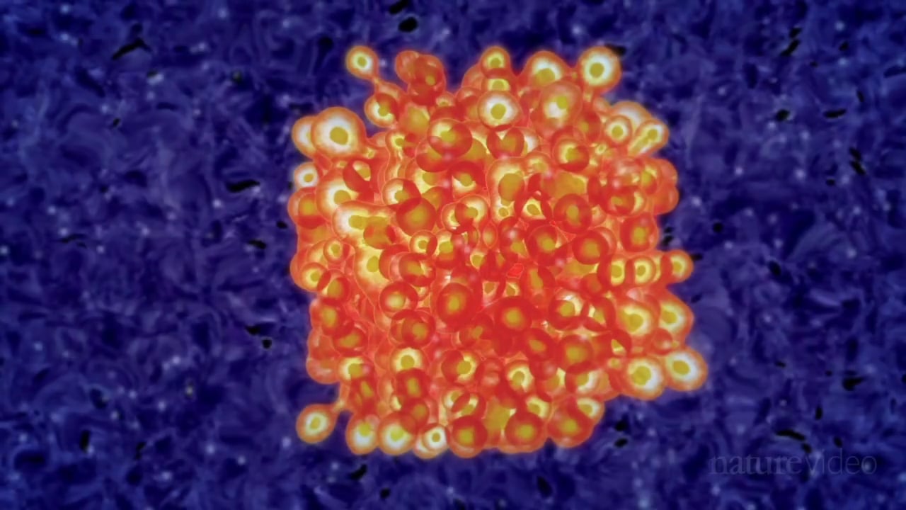 2D & 3D Medical Animation // Nature - cancer Immunotherapy on Vimeo
