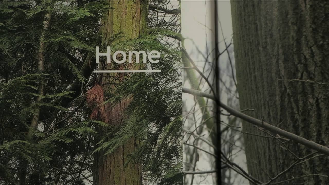 abc an alphabet book on Vimeo