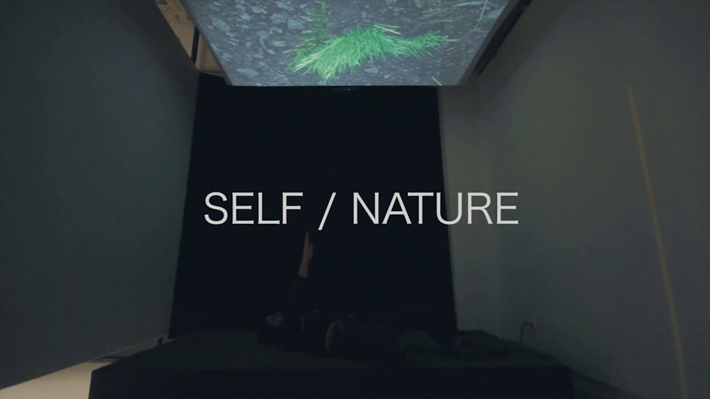 Self / Nature