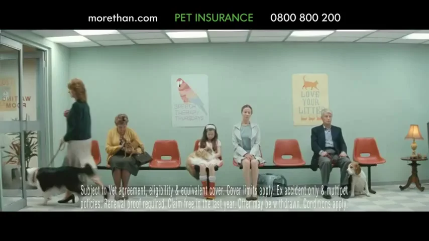 MORE THAN FREEMAN 2012 Pet Insurance Ad on Vimeo
