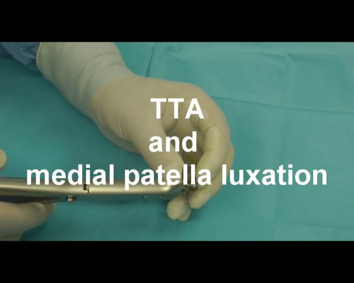 TTA plate for CCL rupture and patella luxation on Vimeo