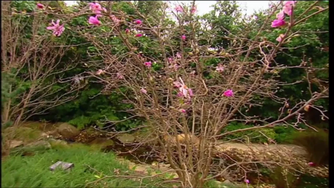 ABC Gardening Australia 2005 on Vimeo