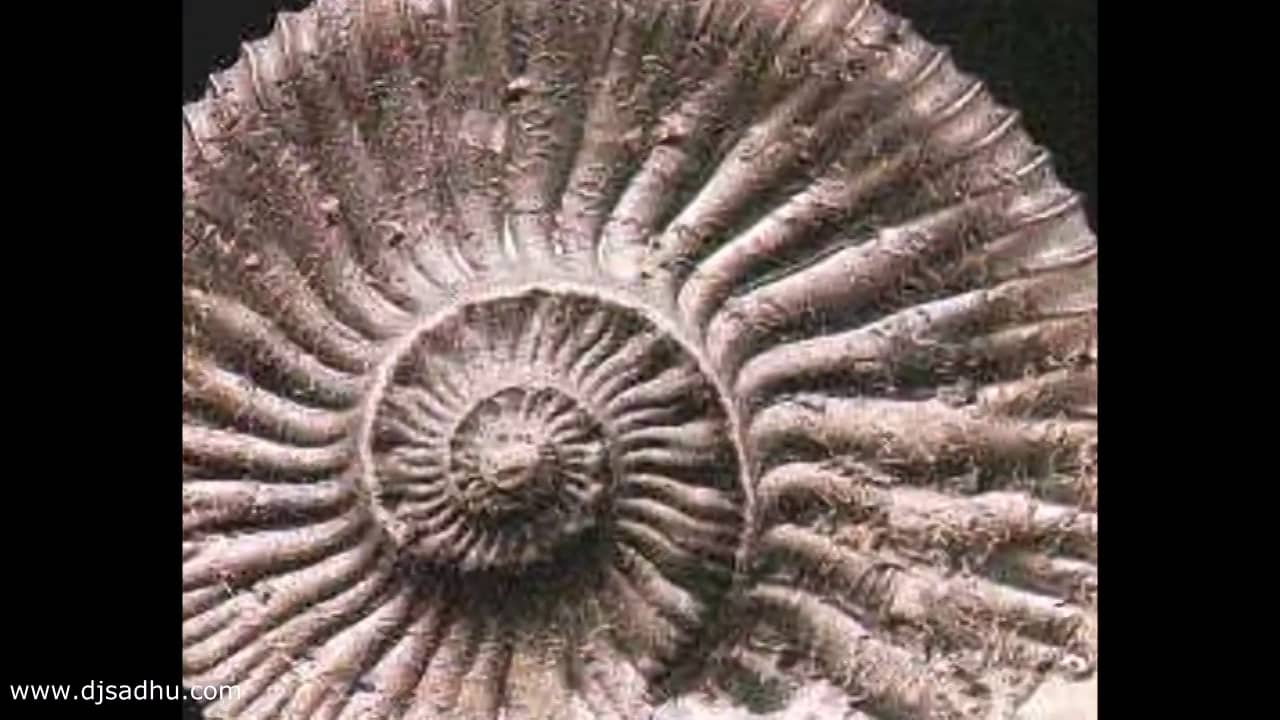 The helical model - our solar system is a vortex on Vimeo