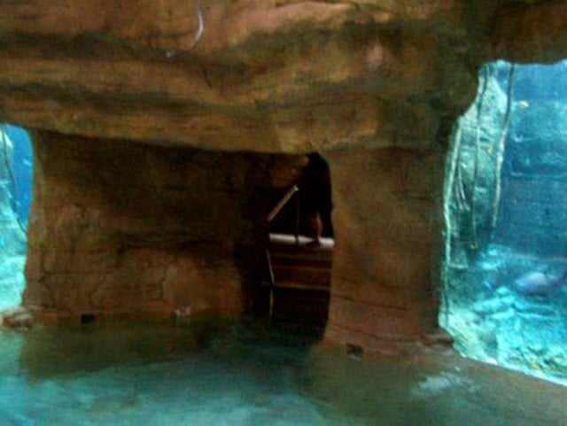 Water Slide leading to underwater cave and Aquarium on Vimeo