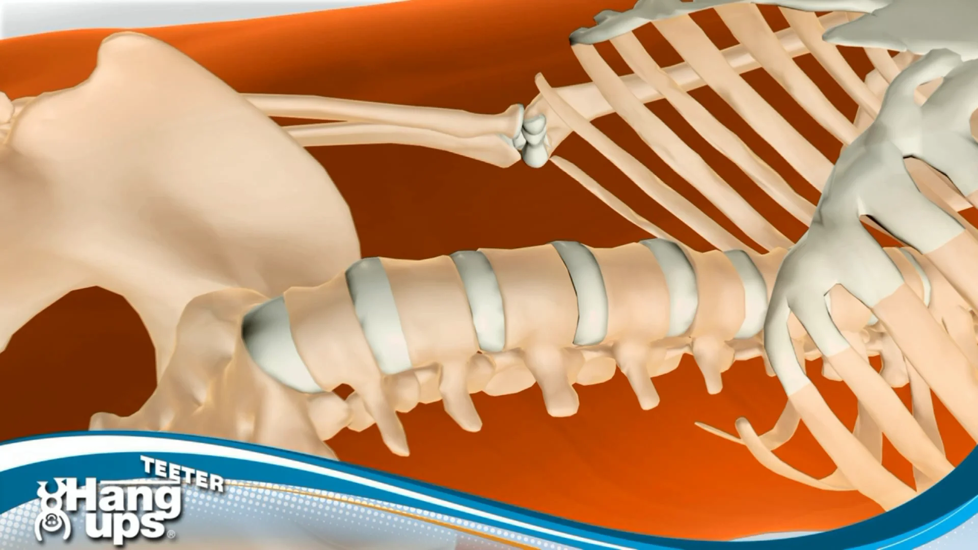 P3 Back Stretcher - Overview Animation on Vimeo