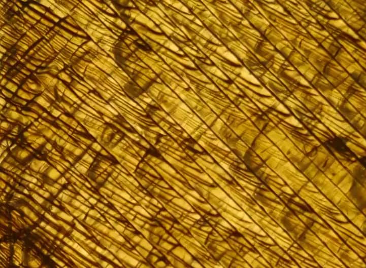 filament studies on Vimeo