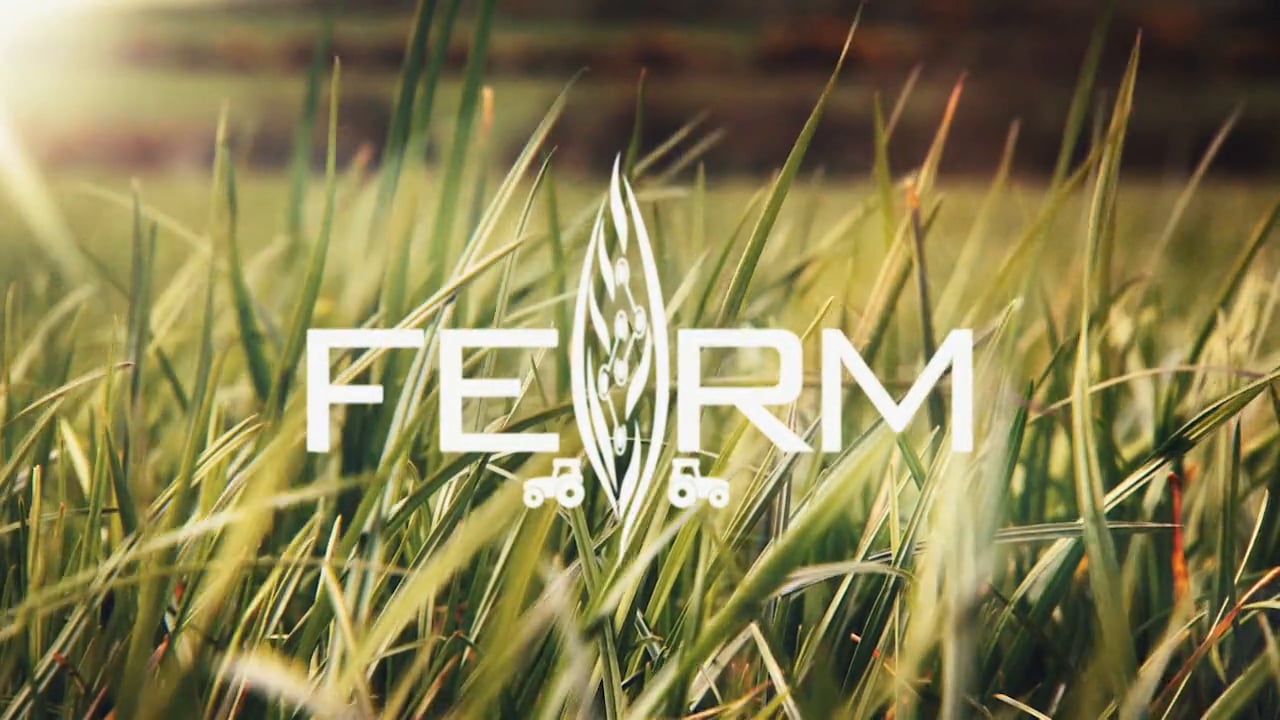 Feirm Montage - Design for Life on Vimeo