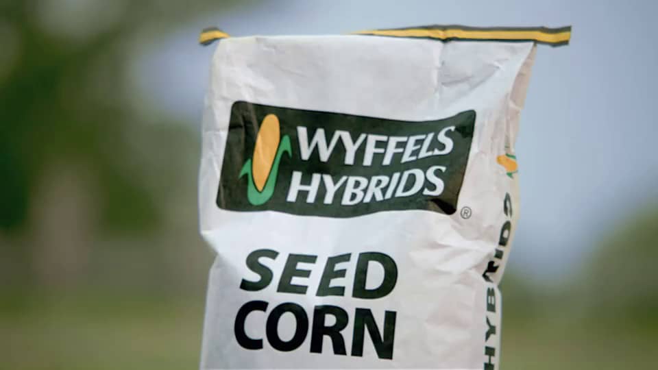 Wyffels Hybrids - Money To Produce on Vimeo
