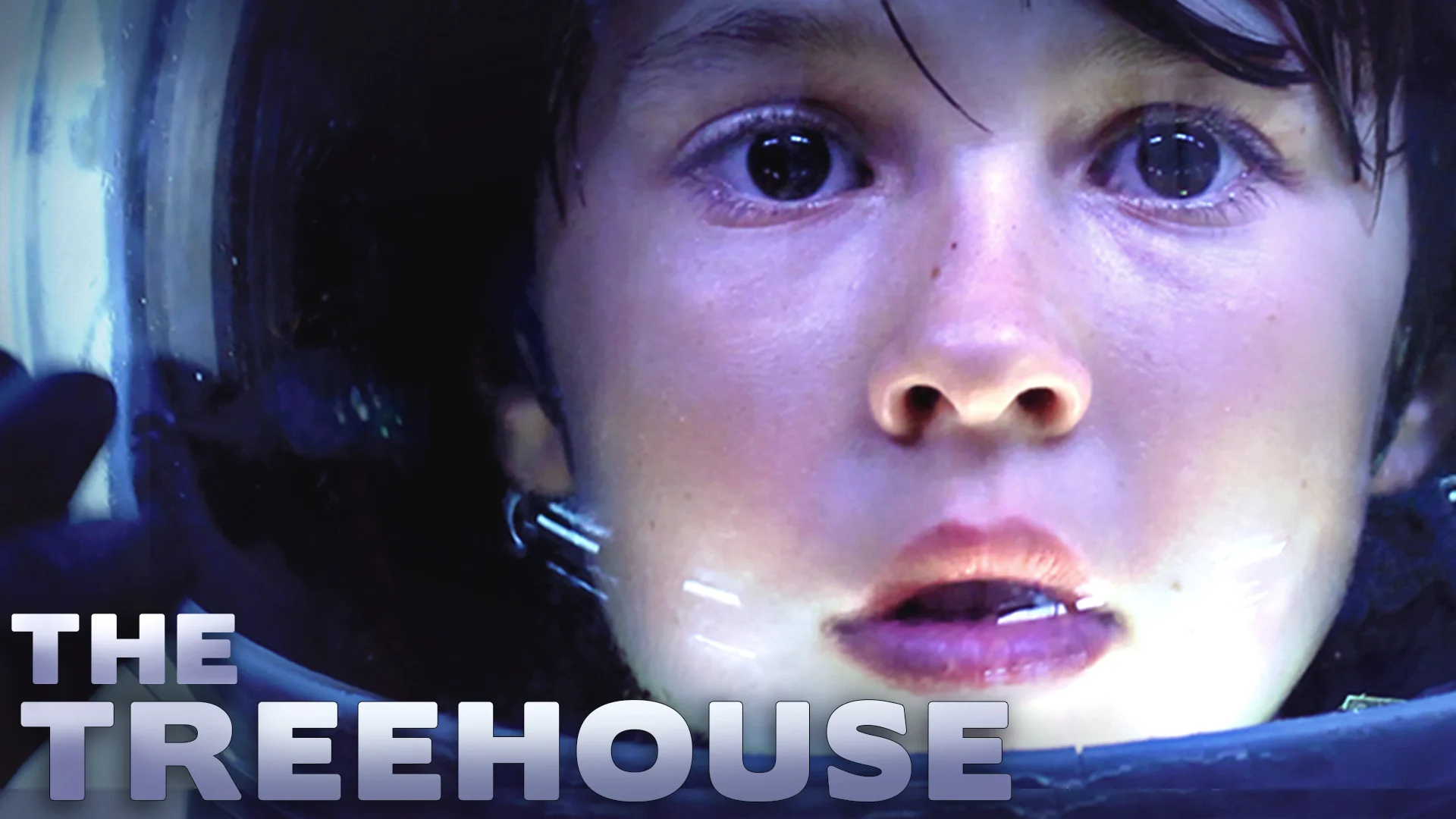 The Treehouse