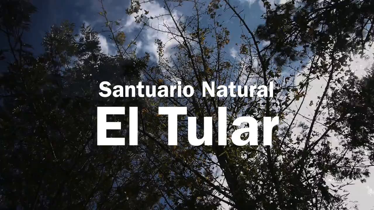 El Tular, Santuario Natural on Vimeo