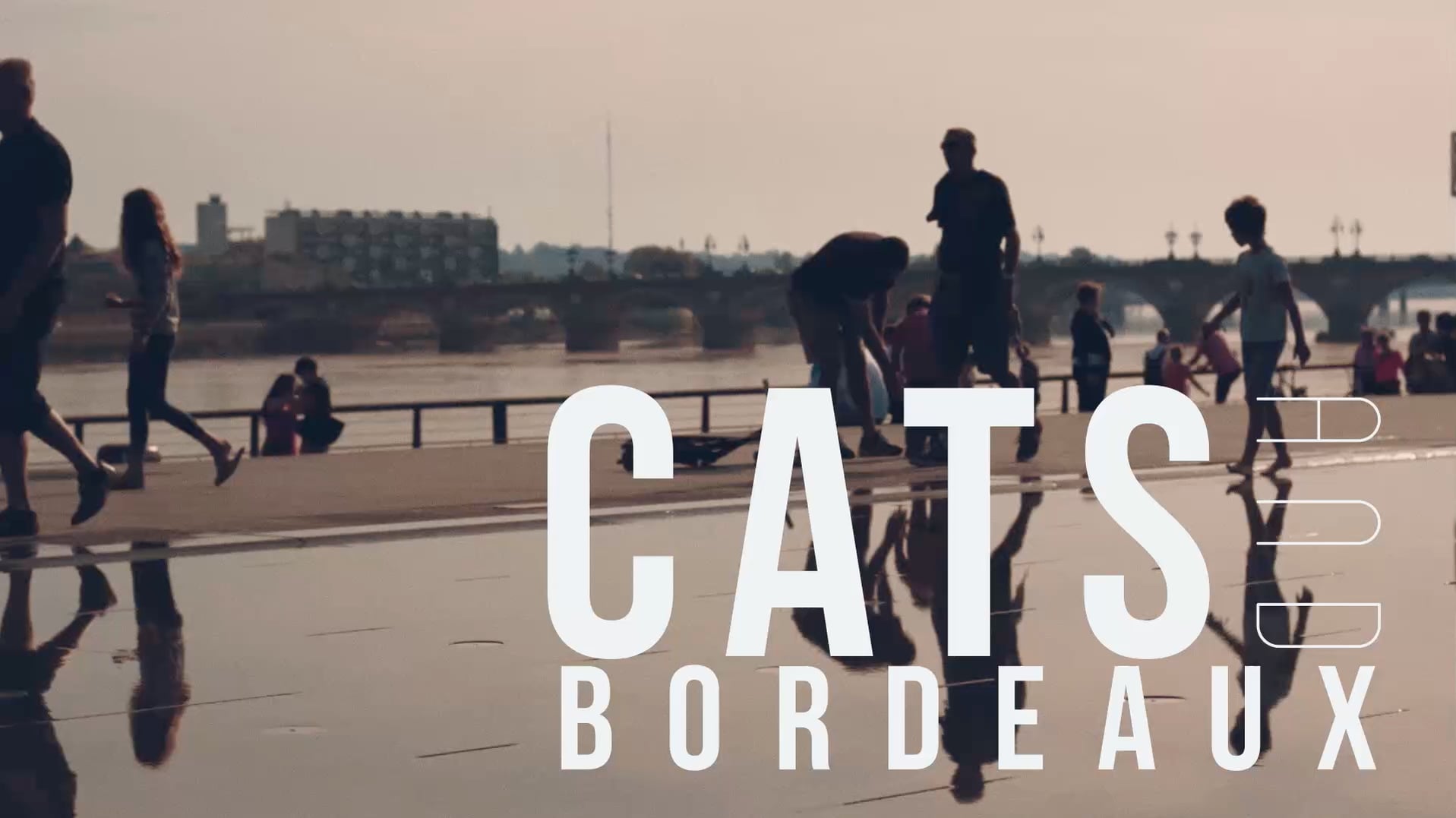 Cats And Bordeaux #1 on Vimeo