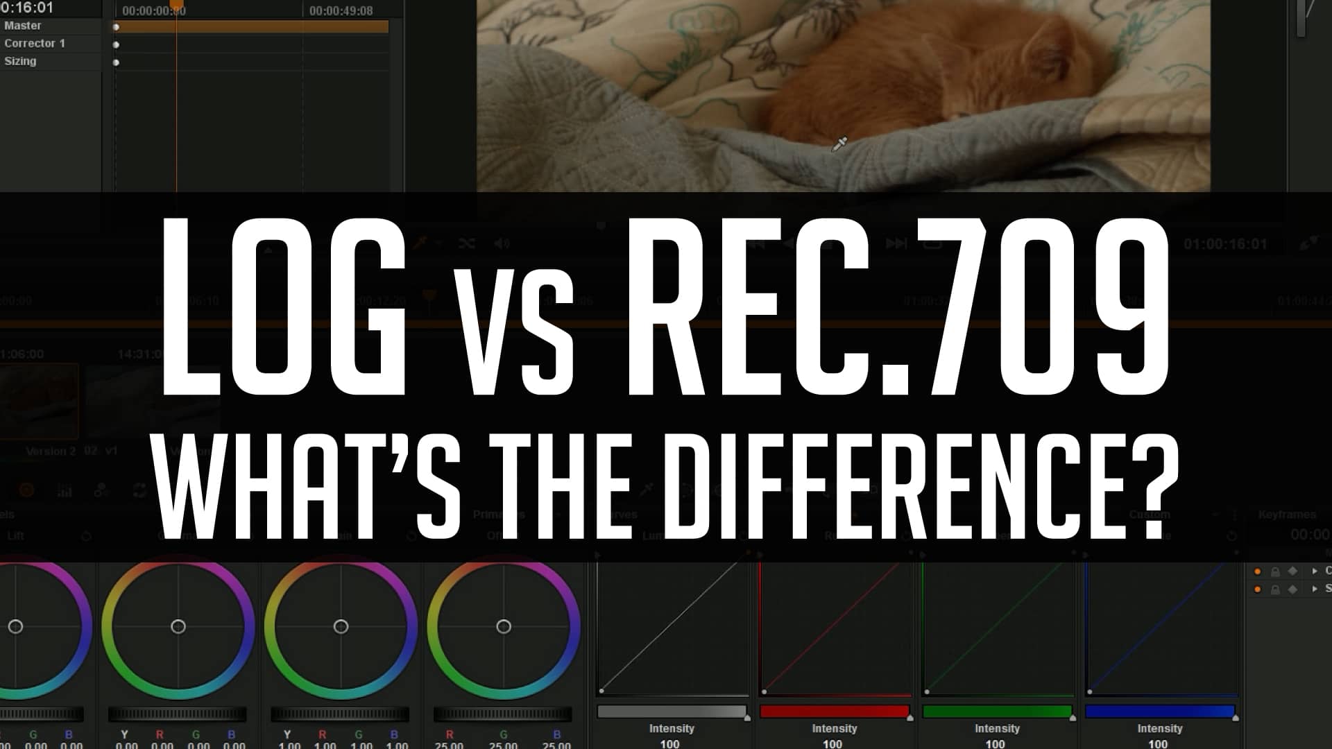 Log Vs. Rec.709: What's the Difference? - Color Grading Tutorial on Vimeo