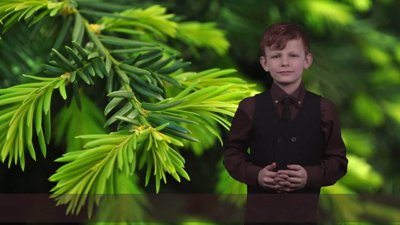 Jasper Fitzgerald-Woolfe - BSL Poetry "The Greatest Gift Of All ...