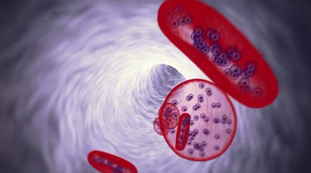 Malaria Lifecycle Animation on Vimeo